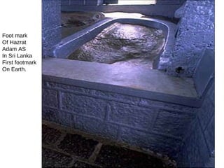 Prophet Ibrahim Footprint Size