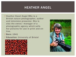 Pictures portfolio g54qwg54 | PPTX