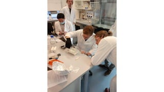 pictures Synbio | PPT