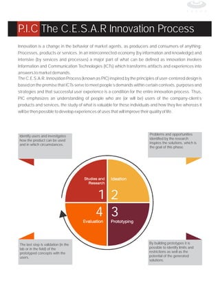 P.I.C. Innovation Process | PDF