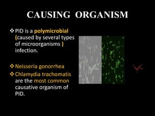 Pelvic inflammatory disease | PPTX
