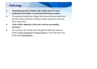 pelvic inflammatory disease in gynaecology | PDF