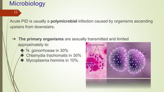 Pelvic Inflammatory Disease | PPT