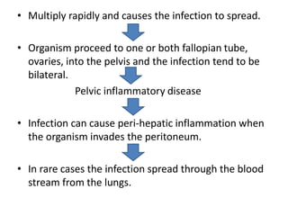 Pelvic inflammatory disease (PID) | PDF