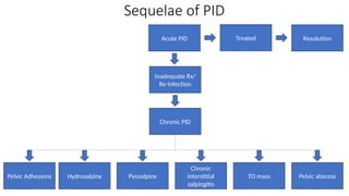 pelvic inflammatory disease - obstetrics and gynaecology | PPT