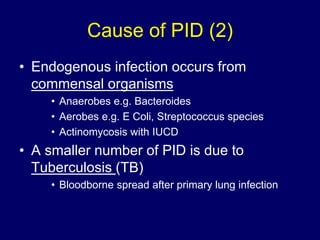 PID for undergraduate | PPT