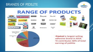 Pidilite Company | PPTX