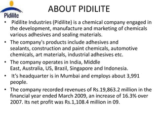 Pidilite 01 | PPT
