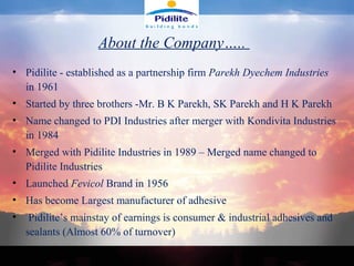 Pidilite Channelmgmt | PPT