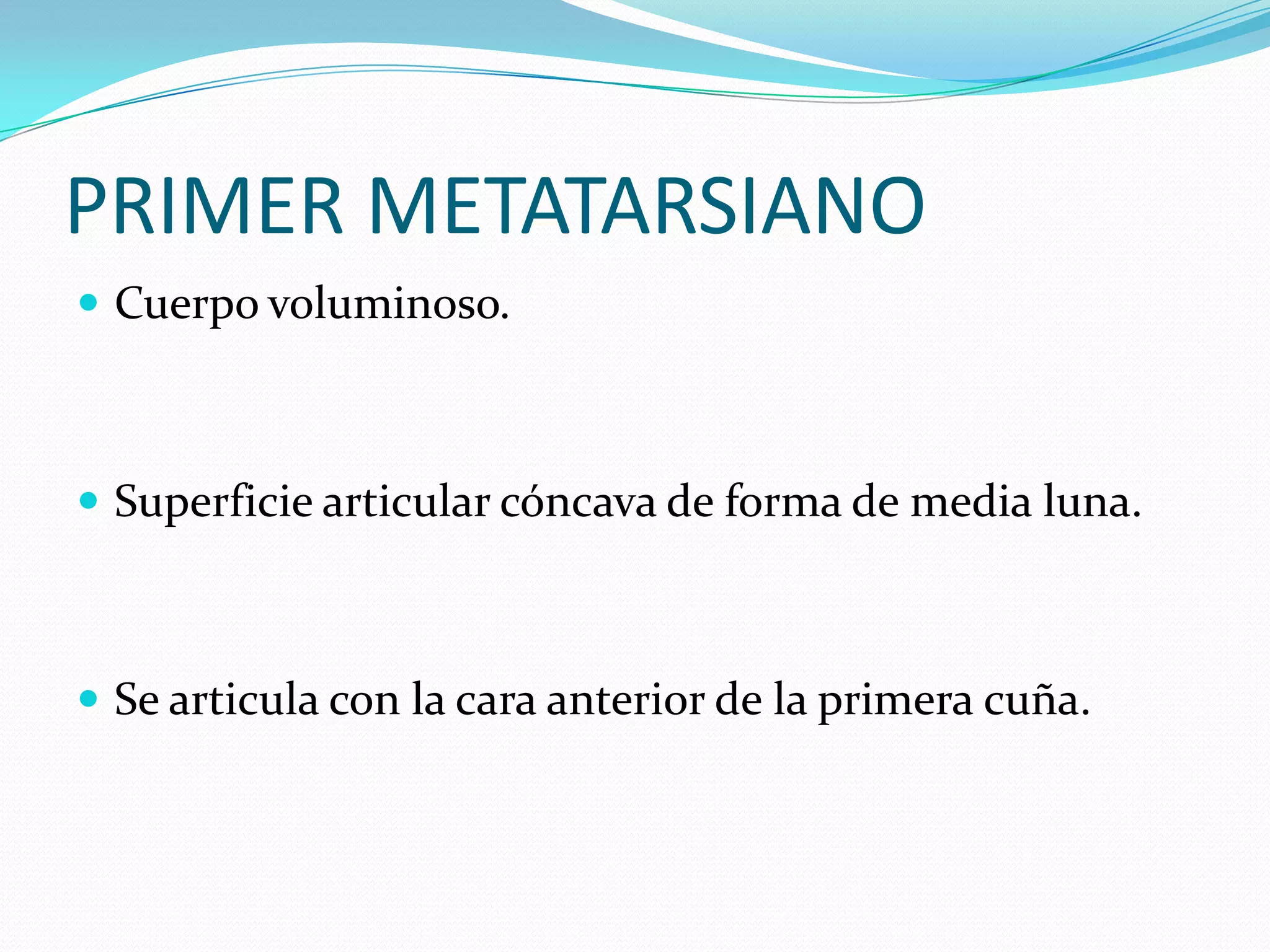 Anatomía de Pie | PPTX