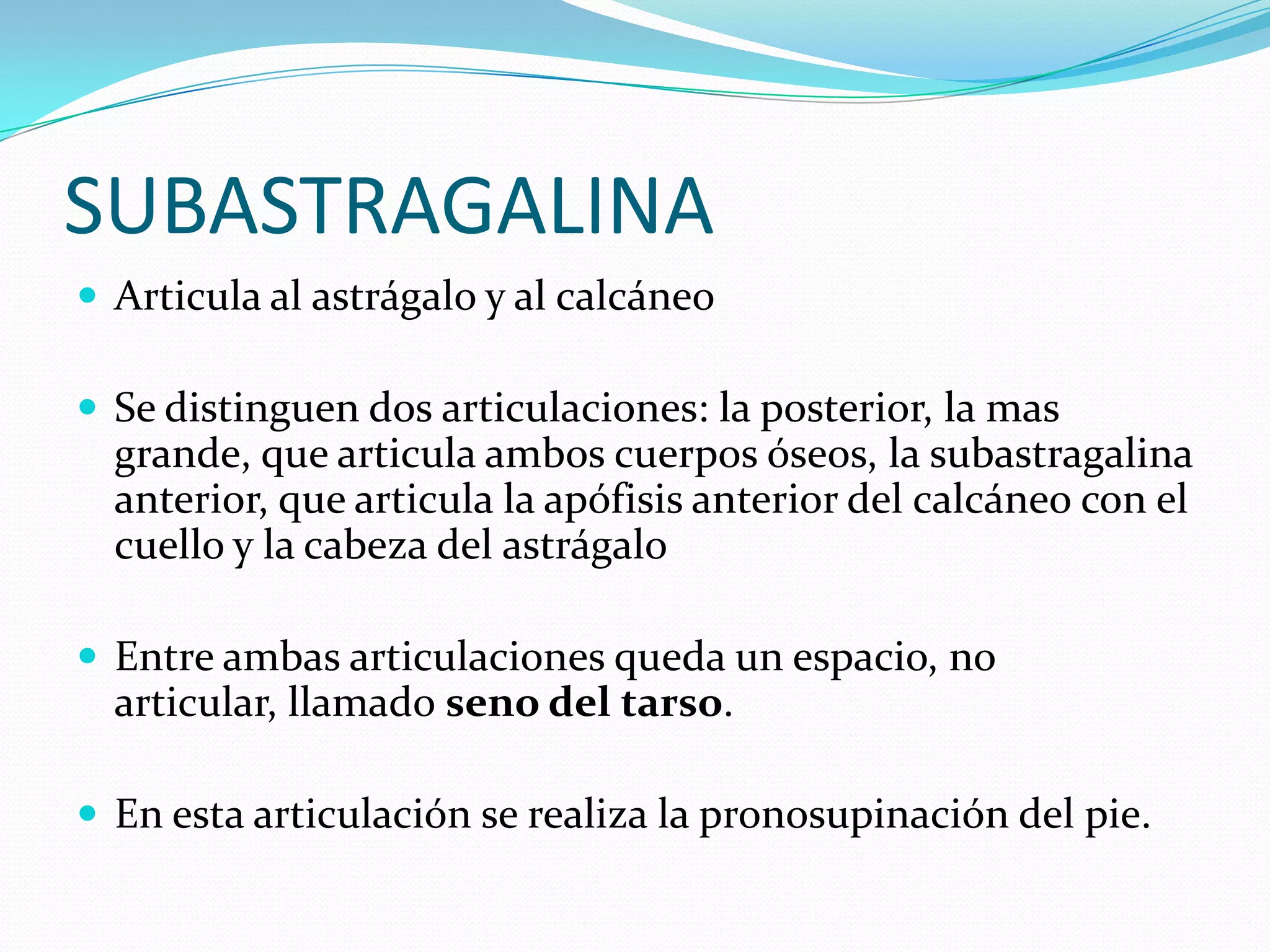 Anatomía de Pie | PPTX