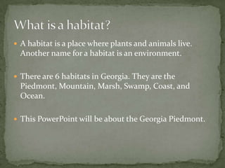 Piedmont habitat[1]timedandlooped | PPTX