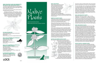 Native Plants for Landscaping - Virginia Native Plant Society | PPT