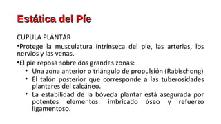 Pie en el Adulto Mayor - MC. MSc. Juan Rodrigo Tuesta Nole | PPS