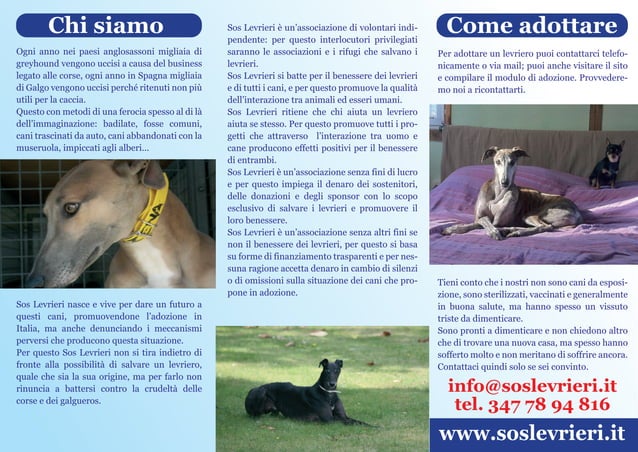 Brochure Ufficiale SOS Levrieri | PDF