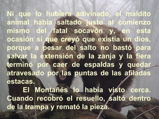 PIEL DE OSO | PPT