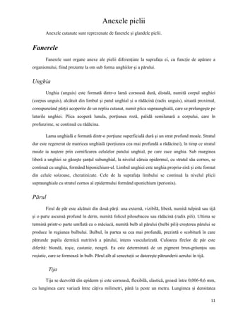 Pielea | PDF