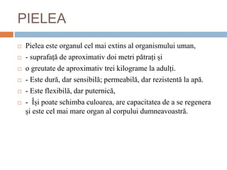 Pielea | PPTX