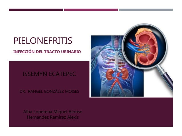 Pielonefritis | PPTX