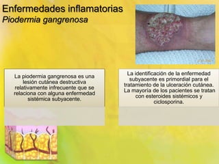 Piel y tejido subcutáneo Patologia Quirurgica | PPTX