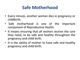 PIE on safe motherhood | PPTX