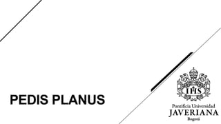 Pie Plano y Astragalo Vertical | PPTX