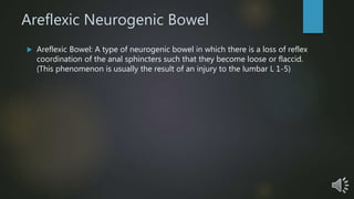 Pie Presentation [final] | PPTX