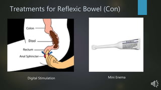 Pie Presentation [final] | PPTX