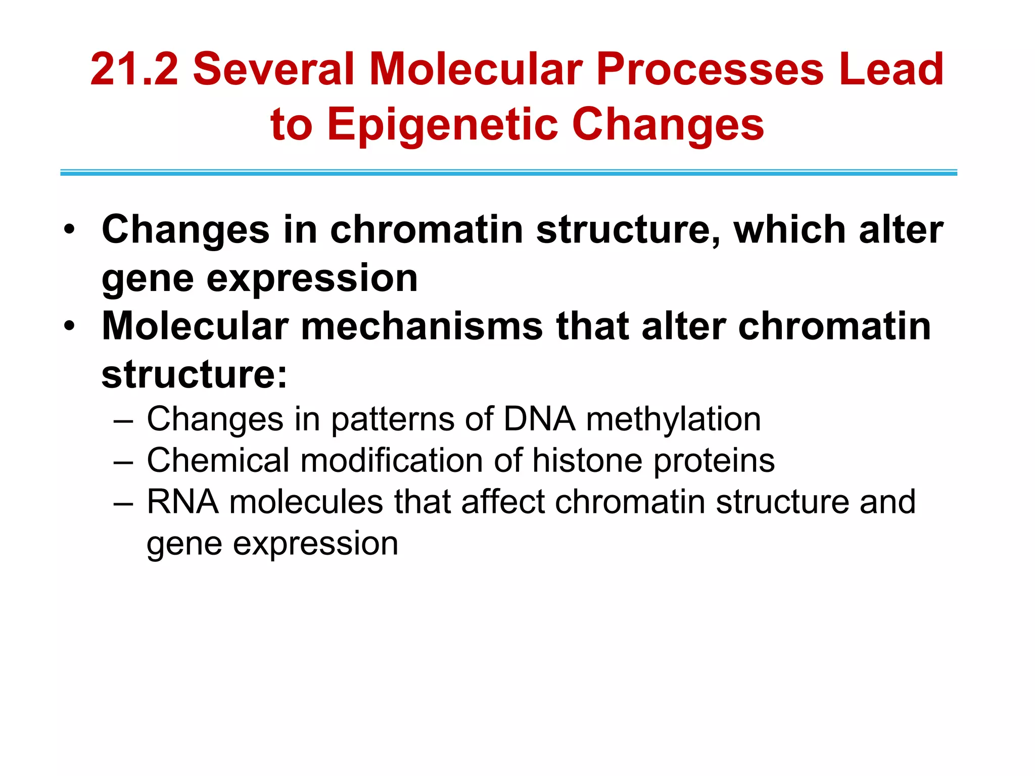 Pierce5e_ch21_lecturePPT.ppt
