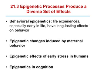 Pierce5e_ch21_lecturePPT.ppt