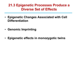 Pierce5e_ch21_lecturePPT.ppt