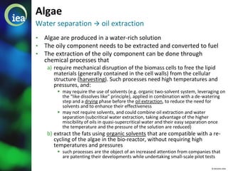 Algae for biofuels production | PDF