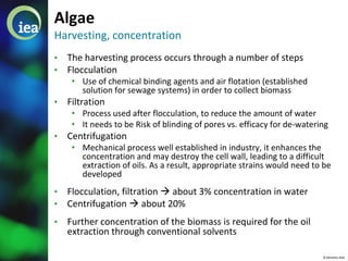 Algae for biofuels production | PDF
