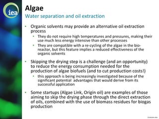 Algae for biofuels production | PDF