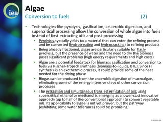 Algae for biofuels production | PDF