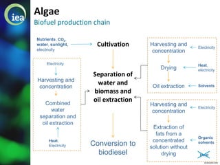 Algae for biofuels production | PDF