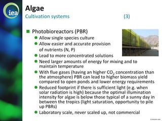 Algae for biofuels production | PDF