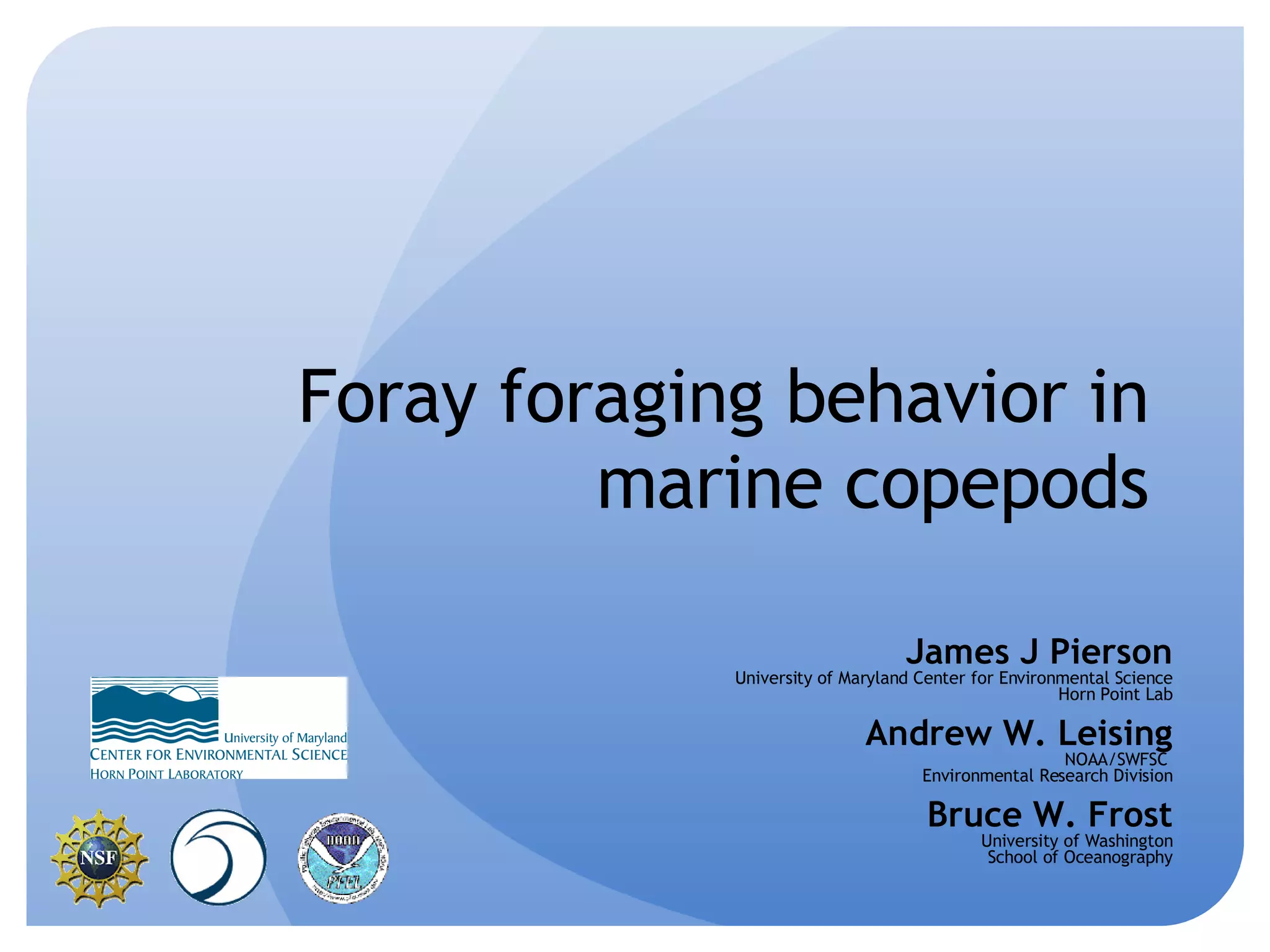Forays and Foraging in Marine Zooplankton | PPT | Geography | Science