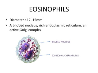 Eosinophilic pneumonia | PPTX