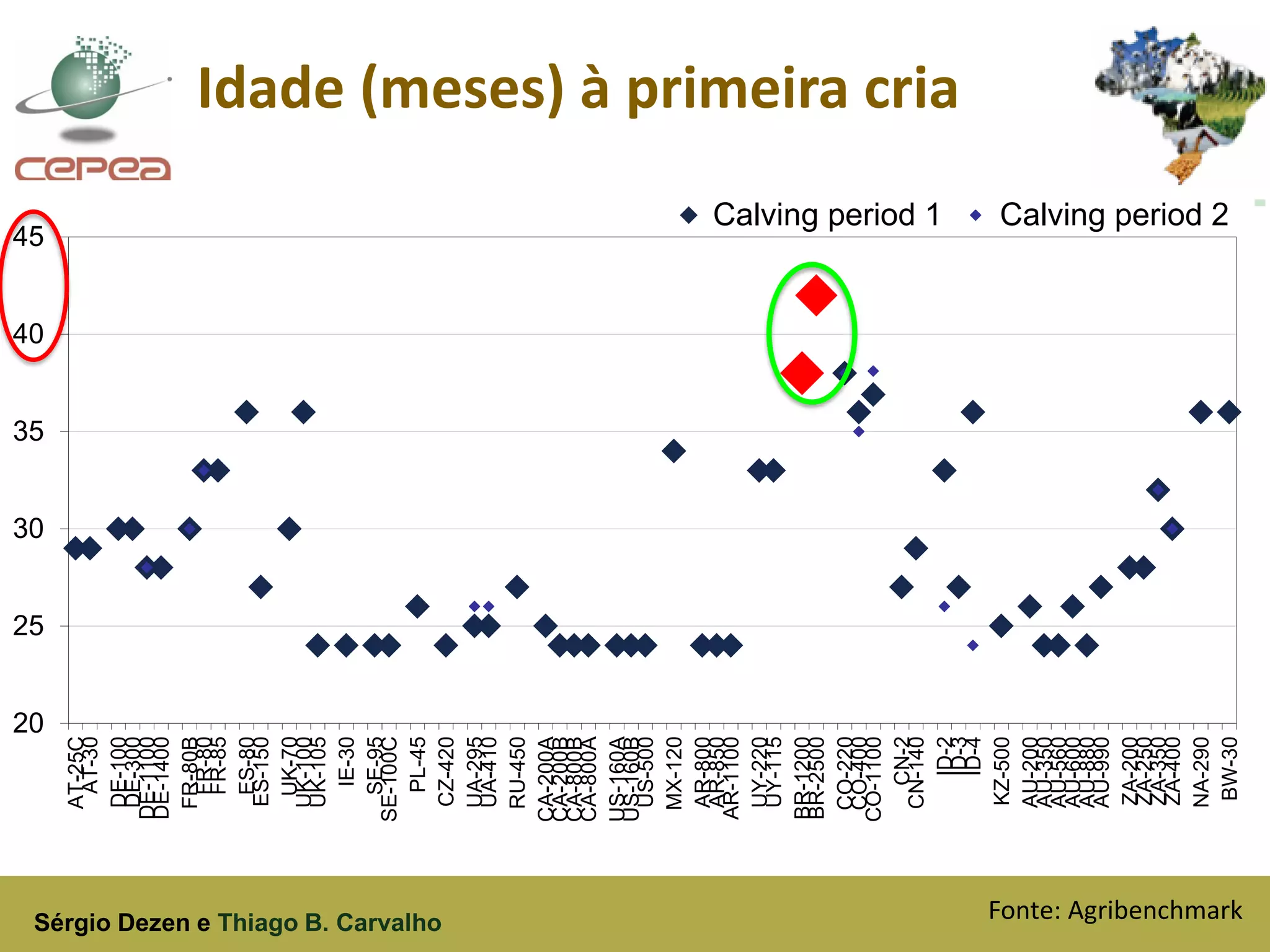 Atualização dos protocolos de IATF, SOV/OPU-FIV E TETF para vacas de ...