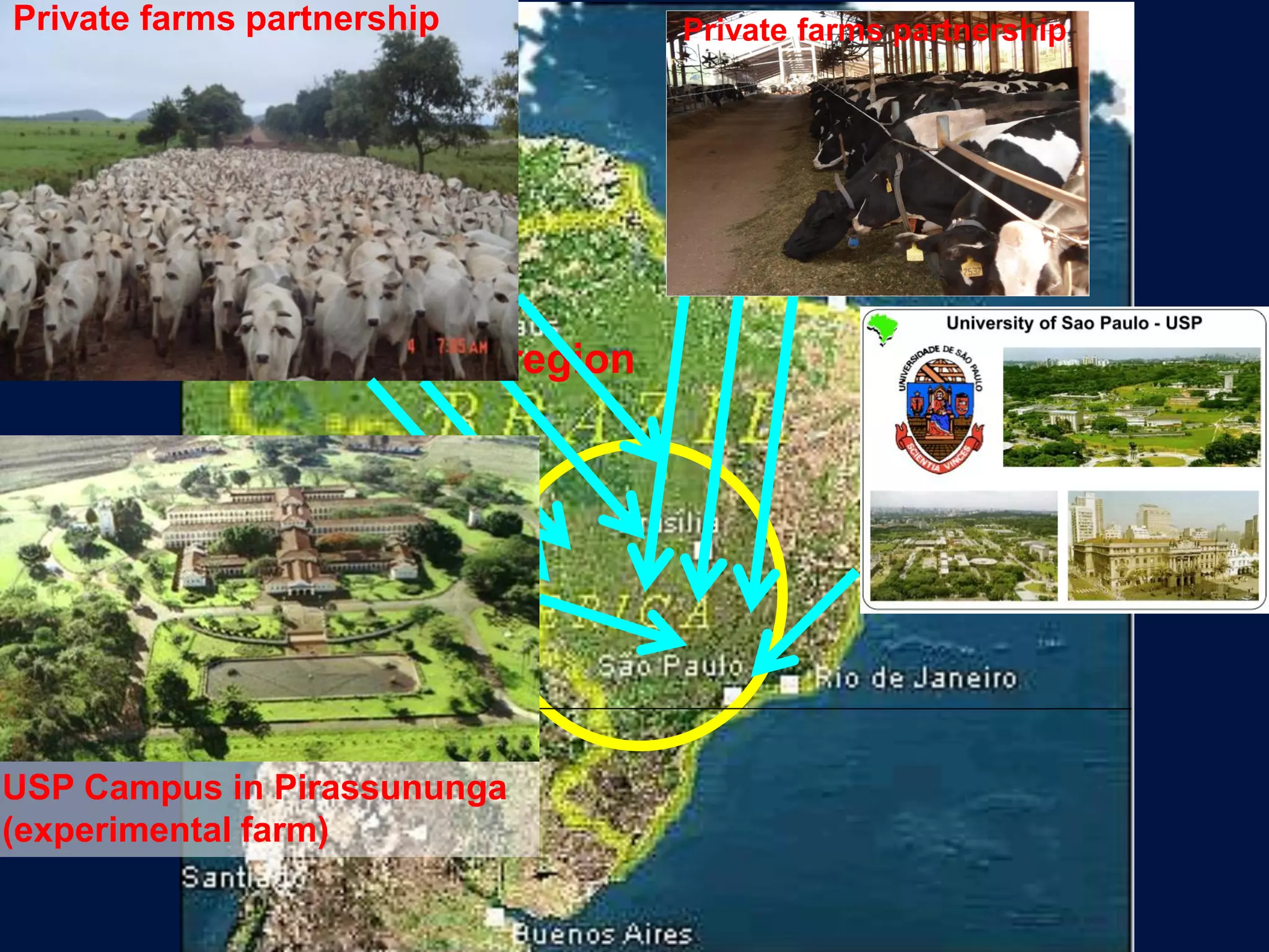 Atualização dos protocolos de IATF, SOV/OPU-FIV E TETF para vacas de ...