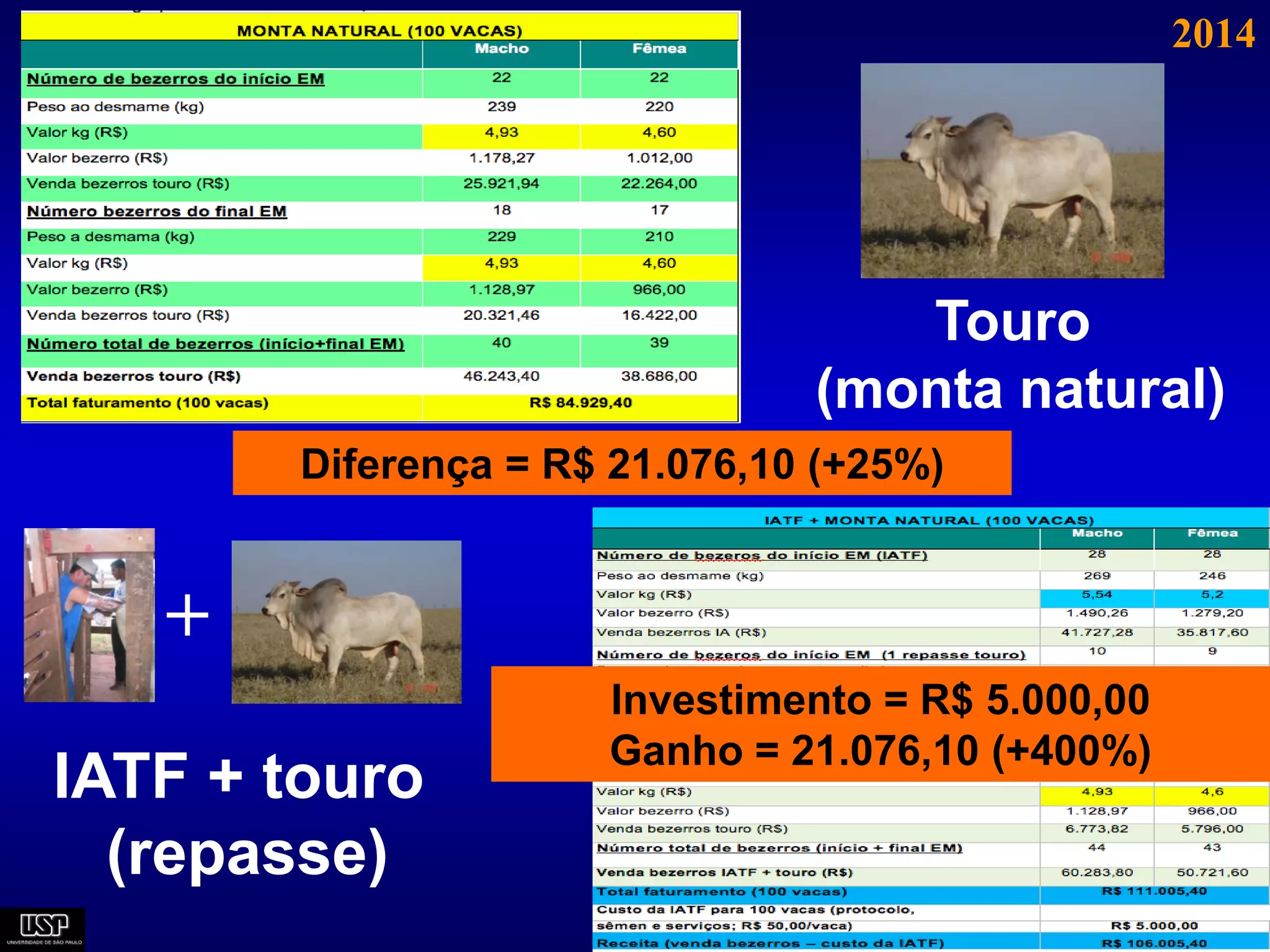 Atualização dos protocolos de IATF, SOV/OPU-FIV E TETF para vacas de ...
