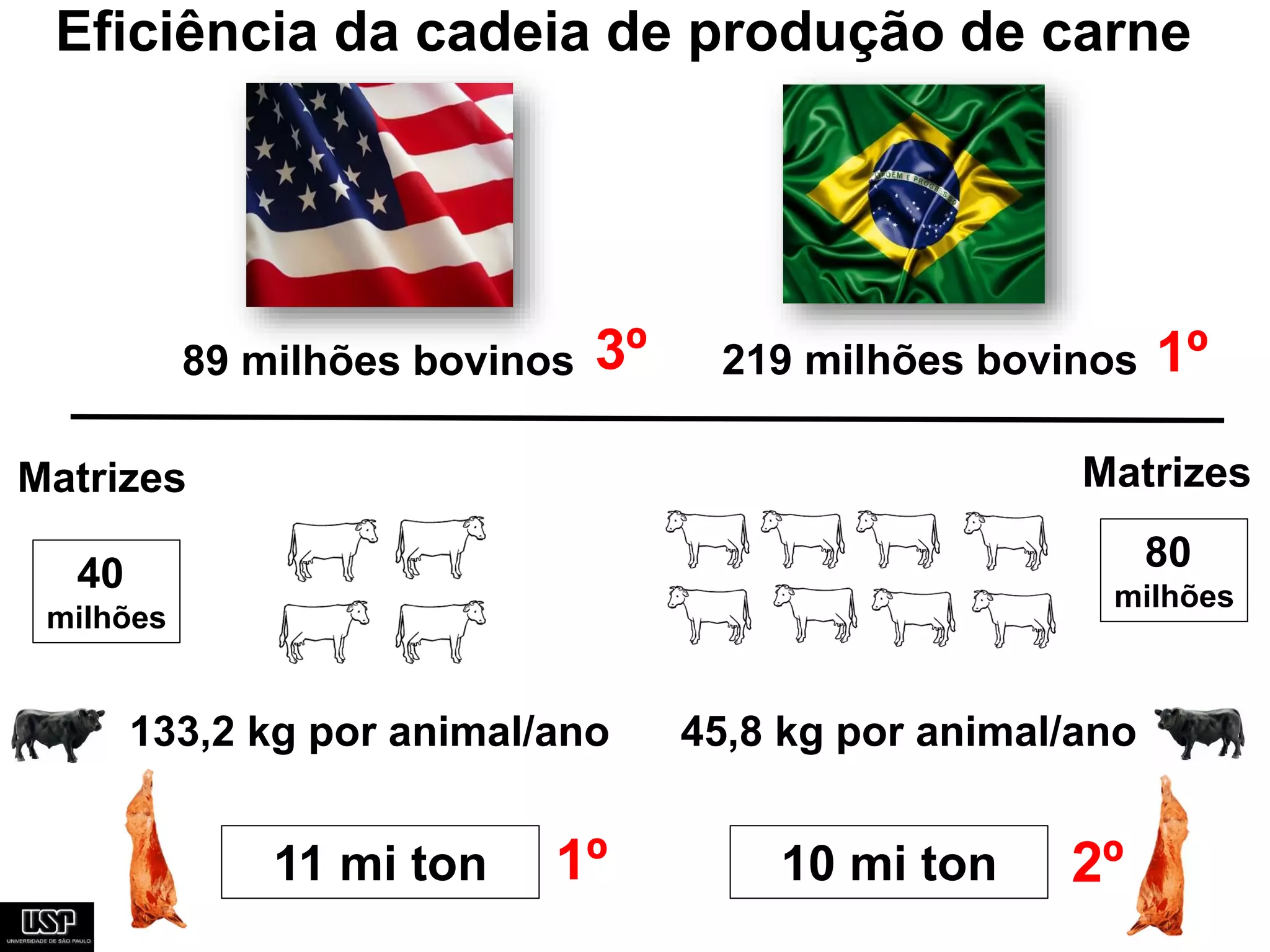 Atualização dos protocolos de IATF, SOV/OPU-FIV E TETF para vacas de ...