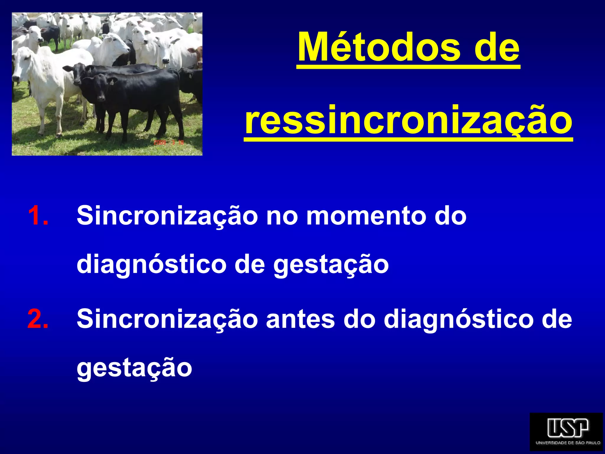 Atualização dos protocolos de IATF, SOV/OPU-FIV E TETF para vacas de ...
