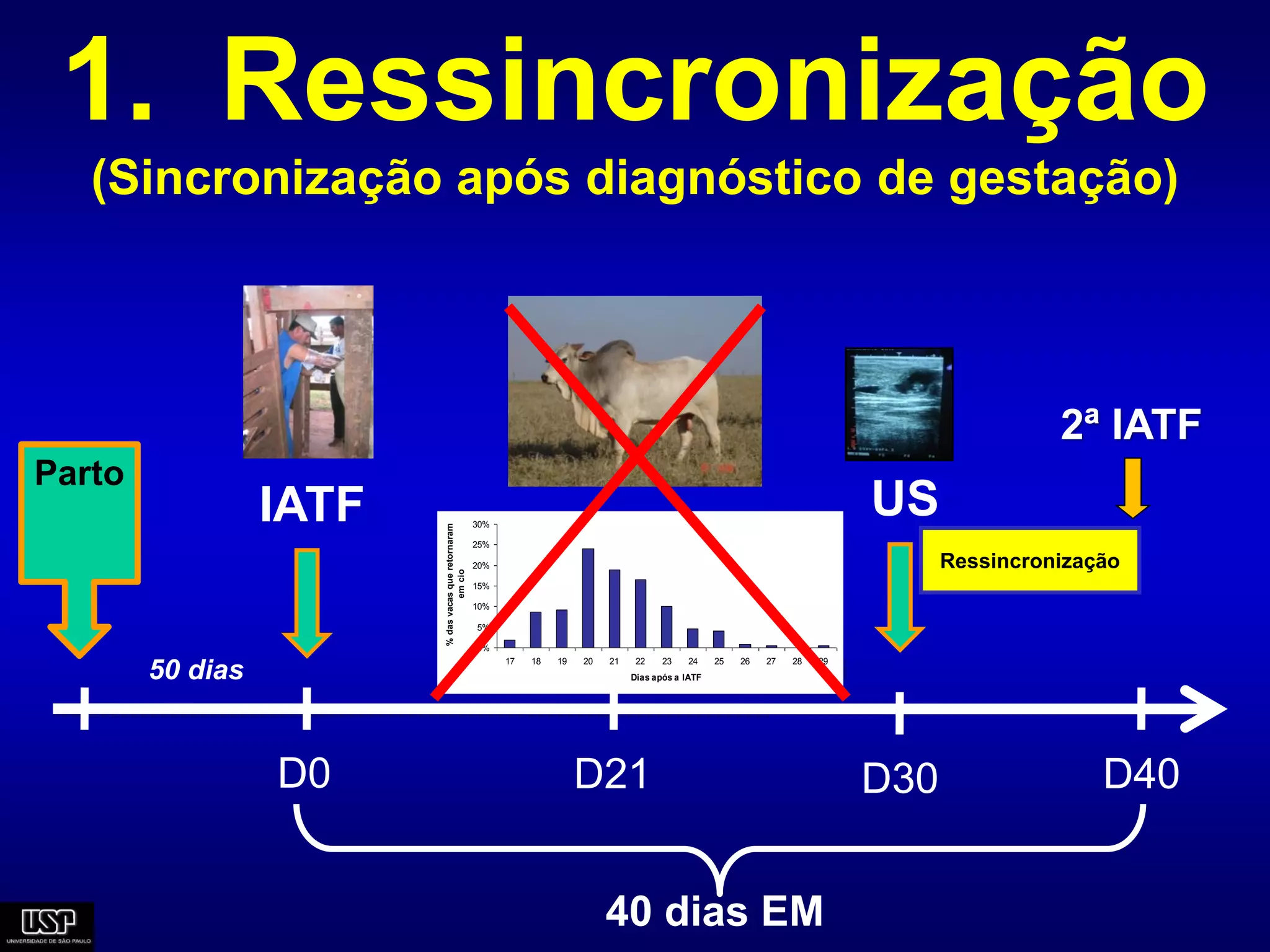 Atualização dos protocolos de IATF, SOV/OPU-FIV E TETF para vacas de ...