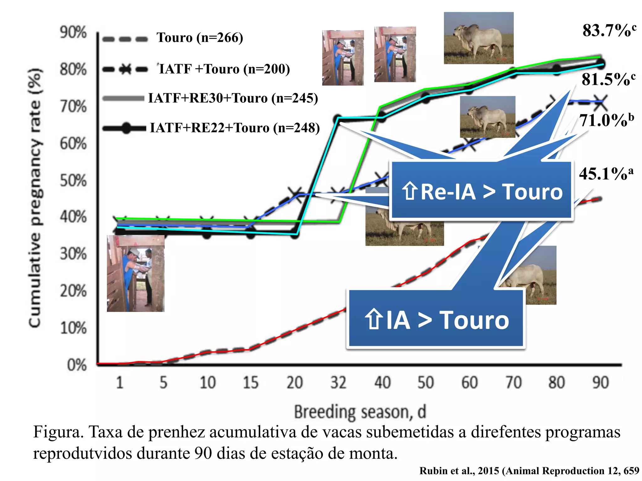 Atualização dos protocolos de IATF, SOV/OPU-FIV E TETF para vacas de ...