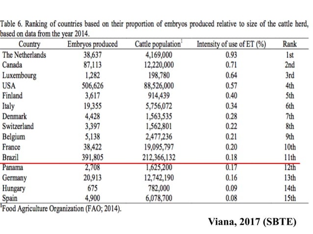 Atualização dos protocolos de IATF, SOV/OPU-FIV E TETF para vacas de ...