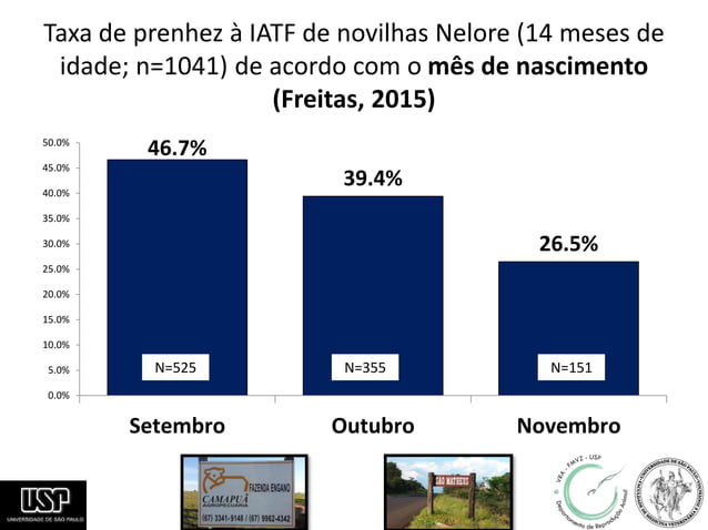 Atualização dos protocolos de IATF, SOV/OPU-FIV E TETF para vacas de ...