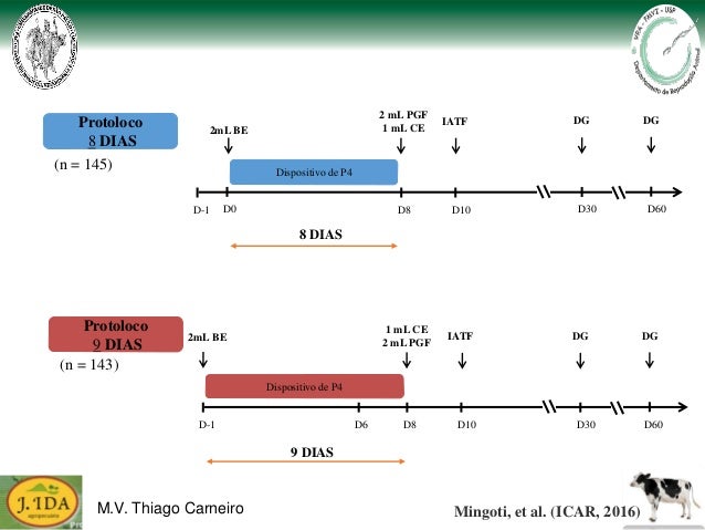 Atualização dos protocolos de IATF, SOV/OPU-FIV E TETF para vacas de