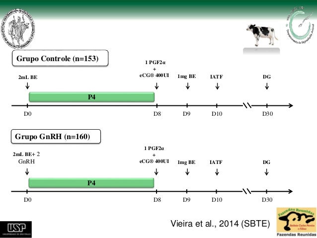 Atualização dos protocolos de IATF, SOV/OPU-FIV E TETF para vacas de